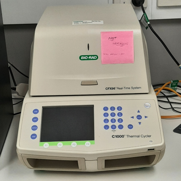 Bio-Rad CFX96 - Griffith University