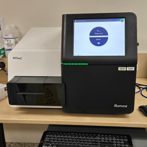 Illumina MiSeq - Griffith University