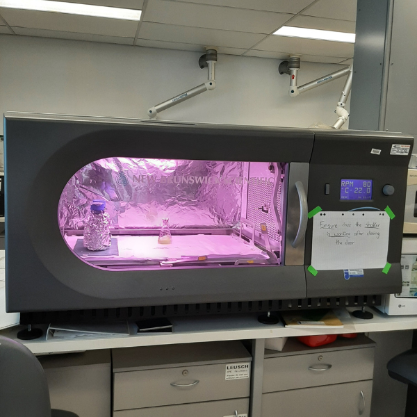 New Brunswick Innova 44R - Griffith University