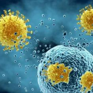 Facilities and Capabilities Directory - Griffith University